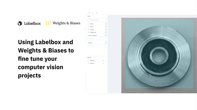 How to find and fix label errors